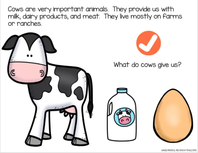 Cow Life Cycle Adapted Book - Google Slides by Teach Simple