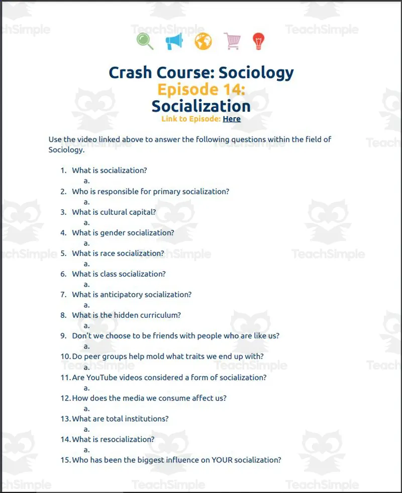 Crash Course Sociology #14: Socialization Student Worksheet by Teach Simple