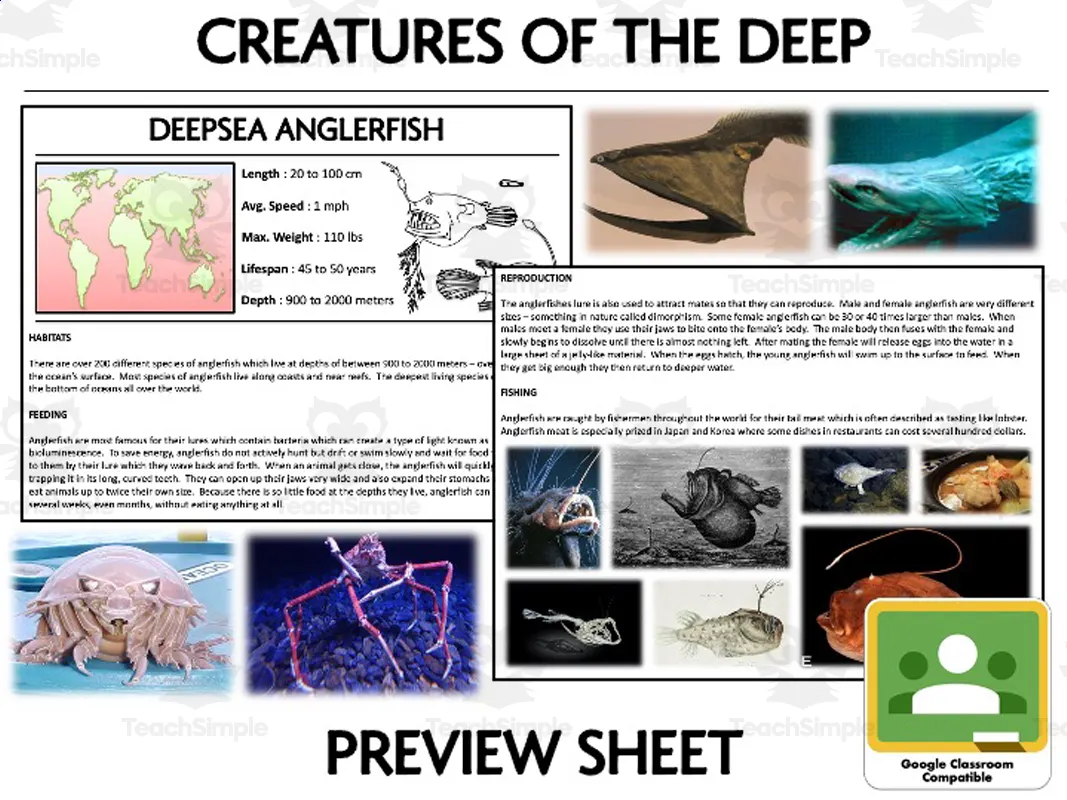Creatures of the Deep Mini Unit by Teach Simple