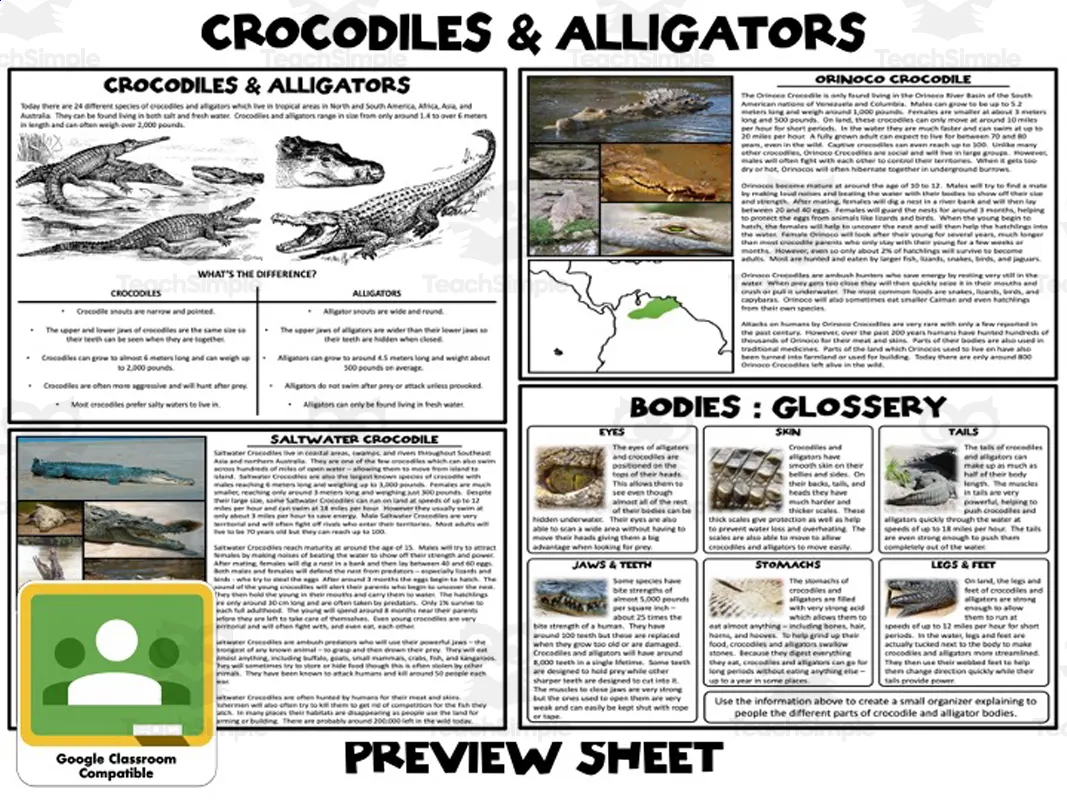 Crocodiles and Alligators Mini Unit by Teach Simple