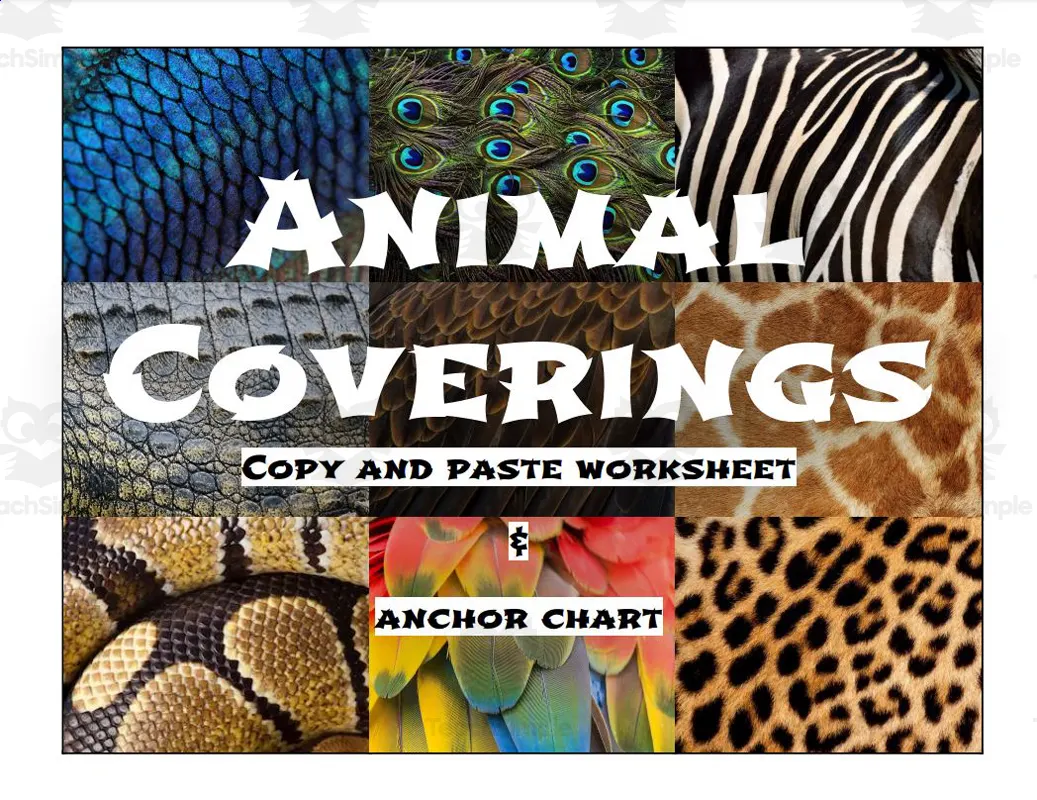 Cut and Paste: Animal Coverings - by Teach Simple