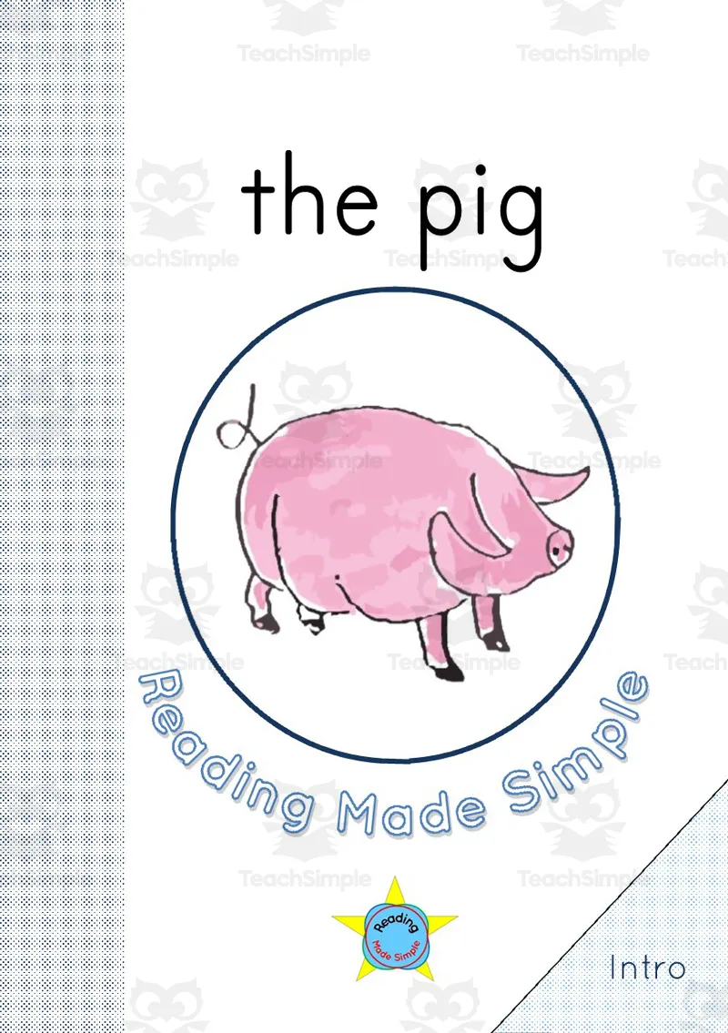 CVC Reading Book 8 by Teach Simple