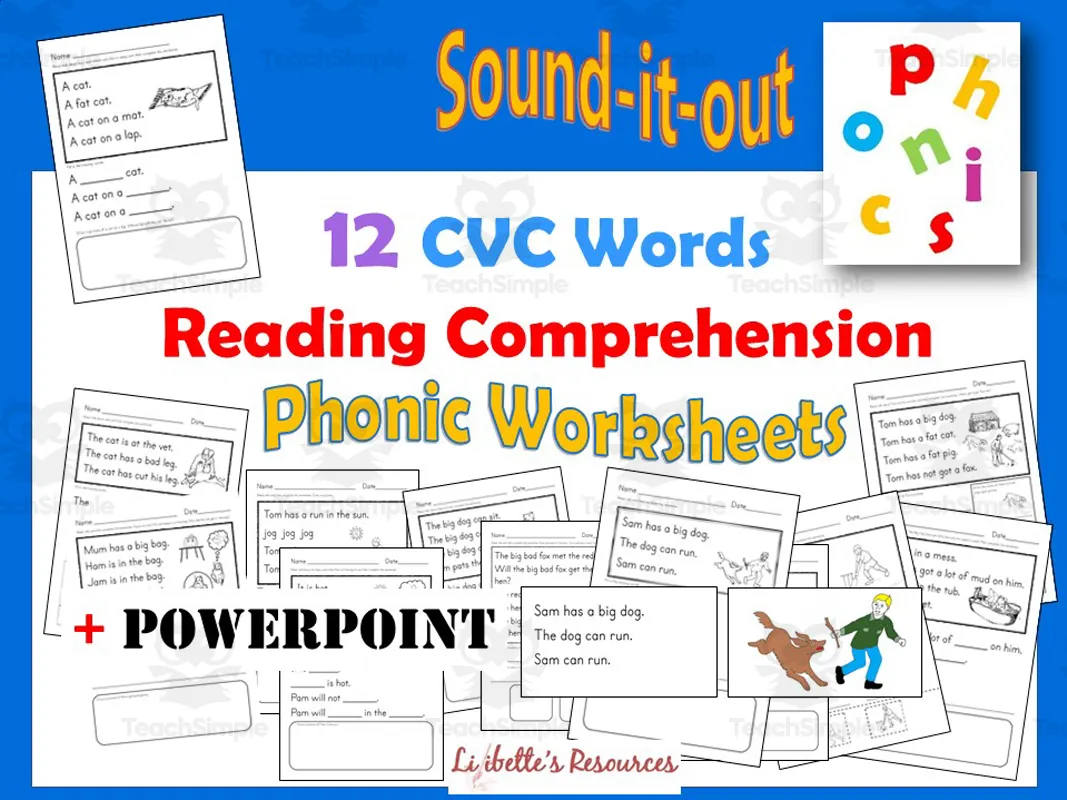 CVC Words Fully Decodable Reading Comprehension Passages and Exercises ...