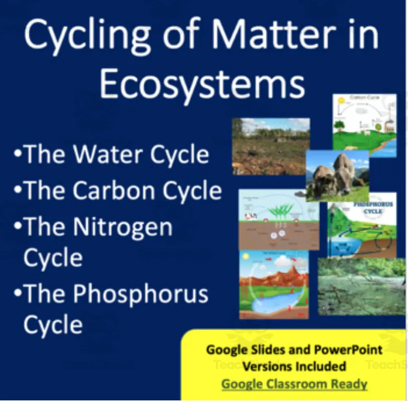 Cycling of Matter in Ecosystems Lesson - Google Slides and Distance ...