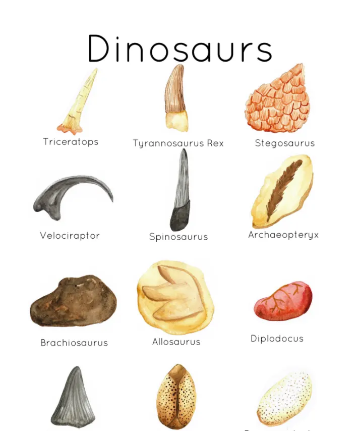 Dinosaur Fossils Poster by Teach Simple