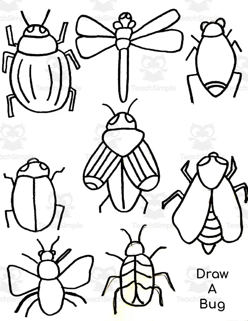 Drawing Guides Print and Go Worksheets by Teach Simple