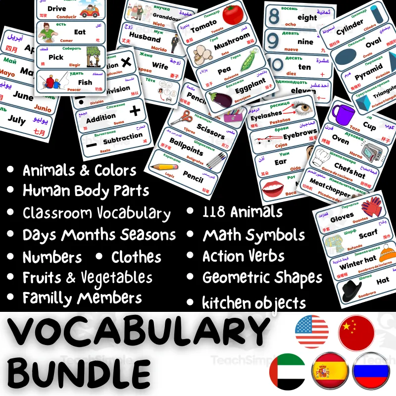 ESL Flashcards: Multilingual English Chinese Arabic Russian Spanish by ...