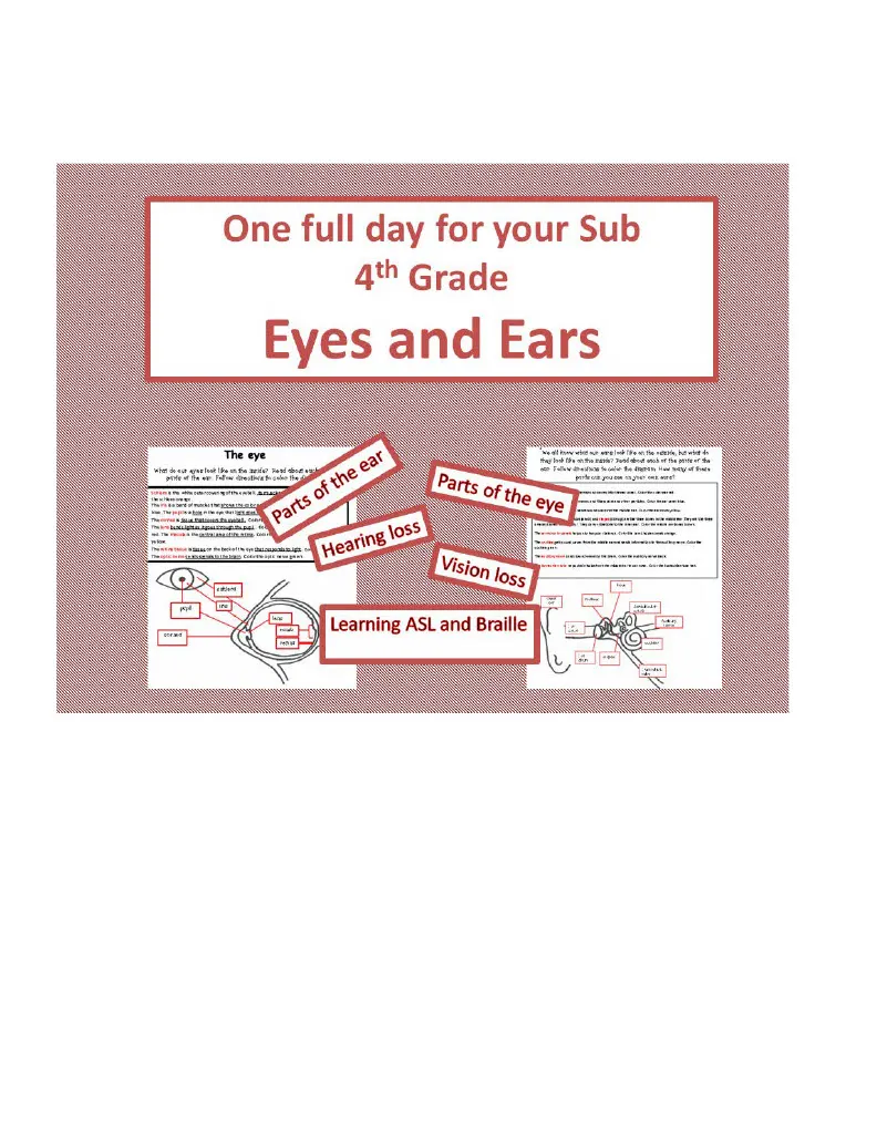 Eyes and Ears: Full Day Substitute Plans by Teach Simple