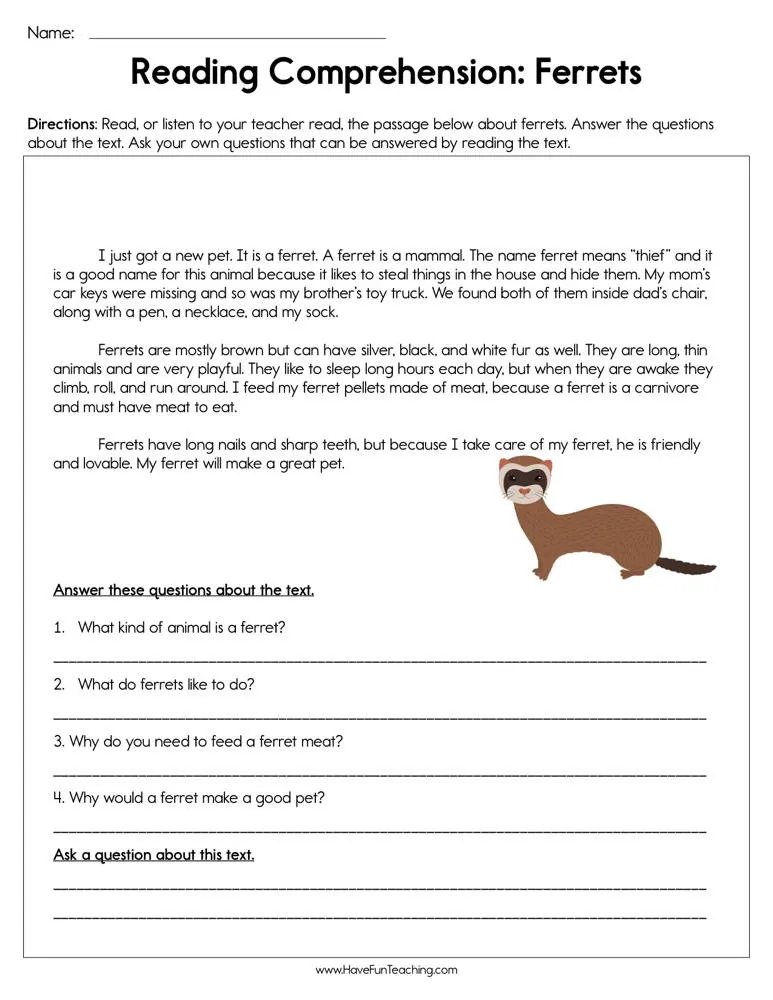 Ferrets Reading Comprehension Worksheet by Teach Simple