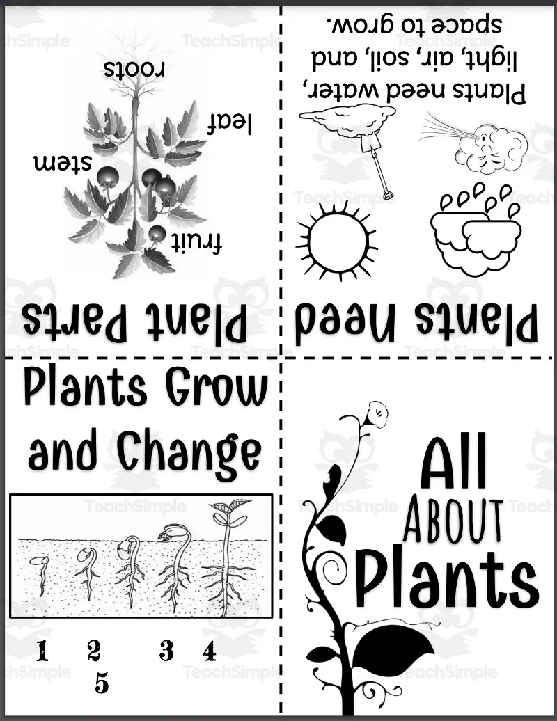 Fold & Read Booklet: All About Plants by Teach Simple