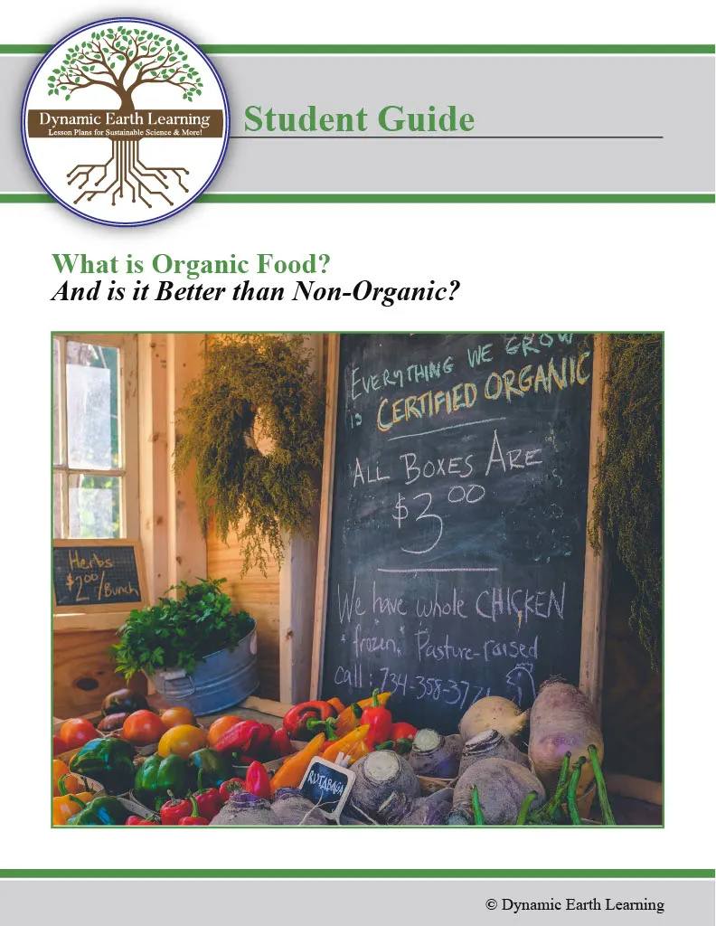 Food and Nutrition Lesson Plan & Worksheets: Organic vs Non-Organic ...