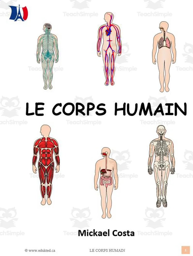 French: Le corps humain by Teach Simple