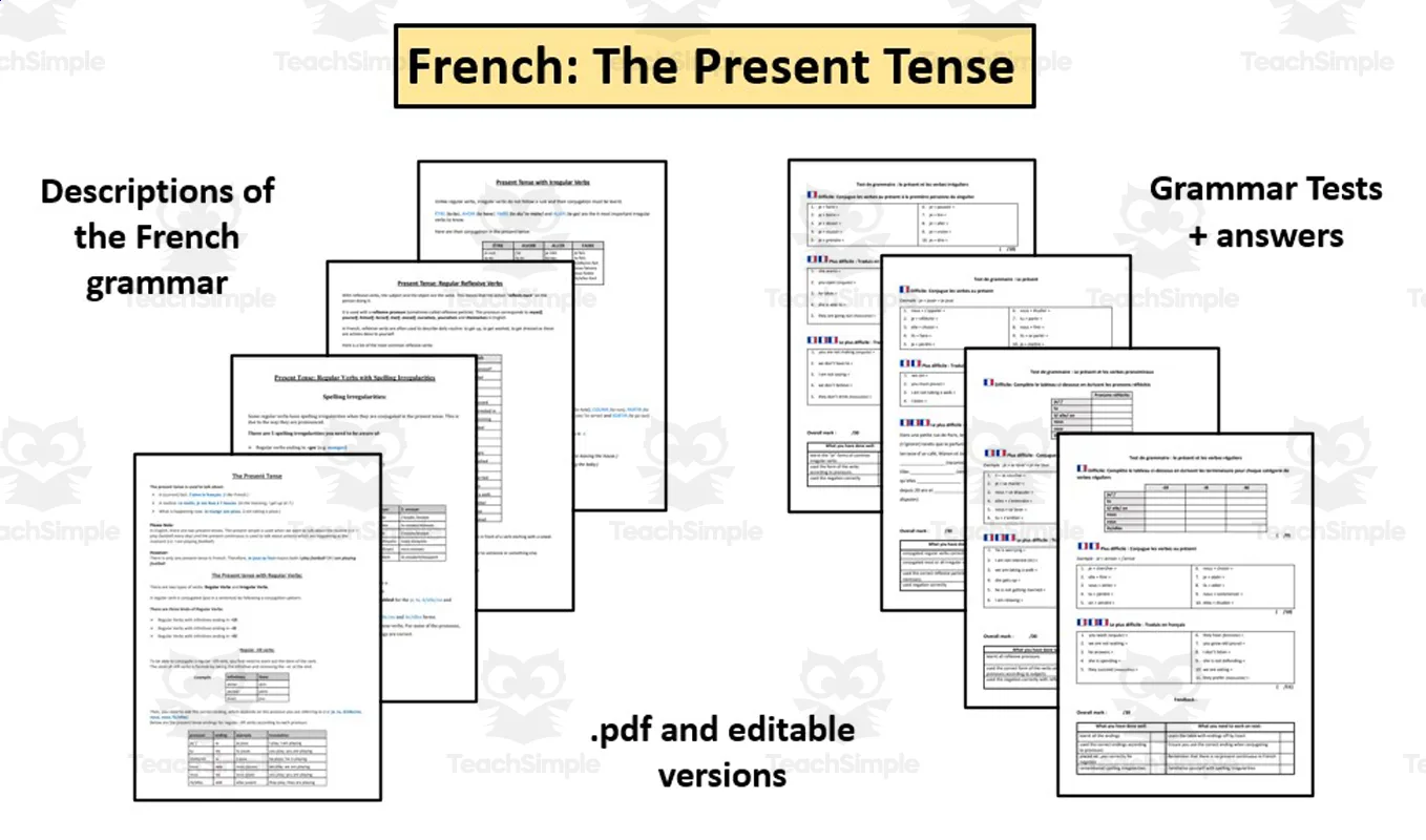 French- Present Tense- Descriptions and Tests by Teach Simple