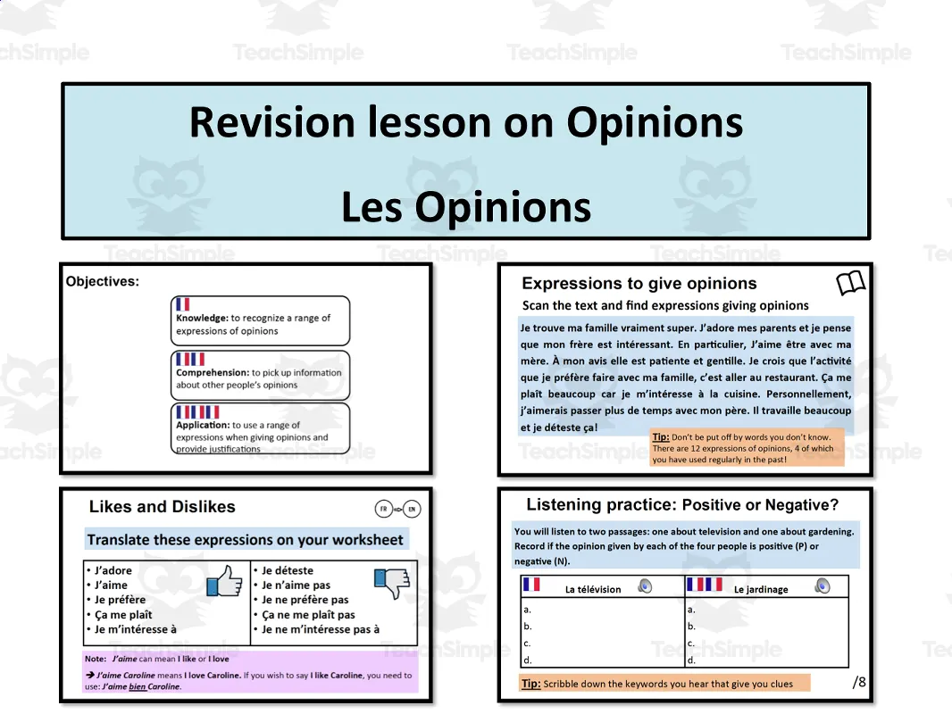 French: Revision Lesson on Opinions- Les Opinions by Teach Simple