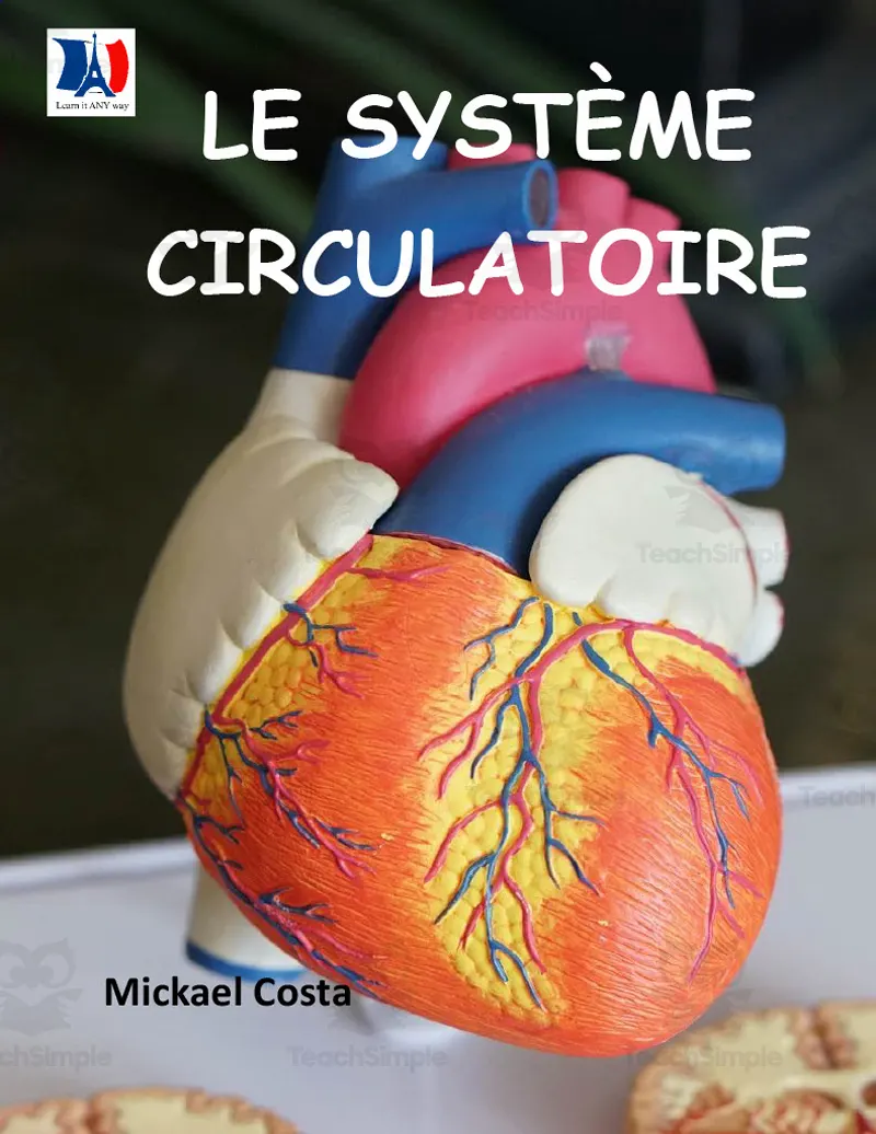 French: The Circulatory System Workbook by Teach Simple