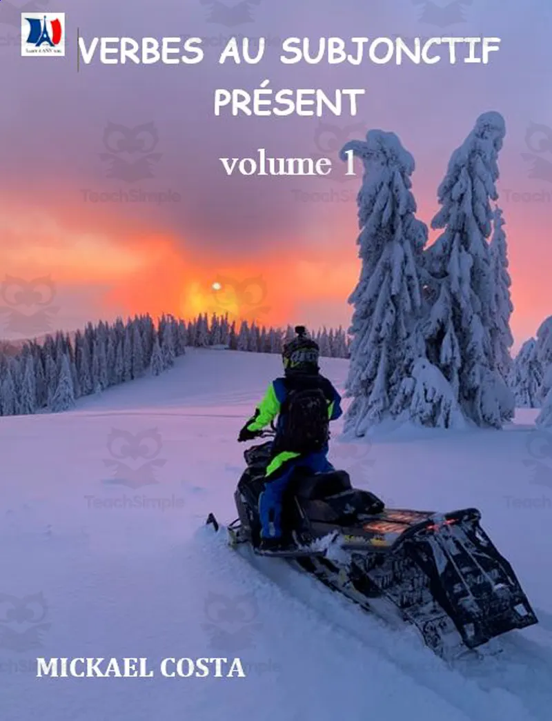 French: verbes au subjonctif présent by Teach Simple