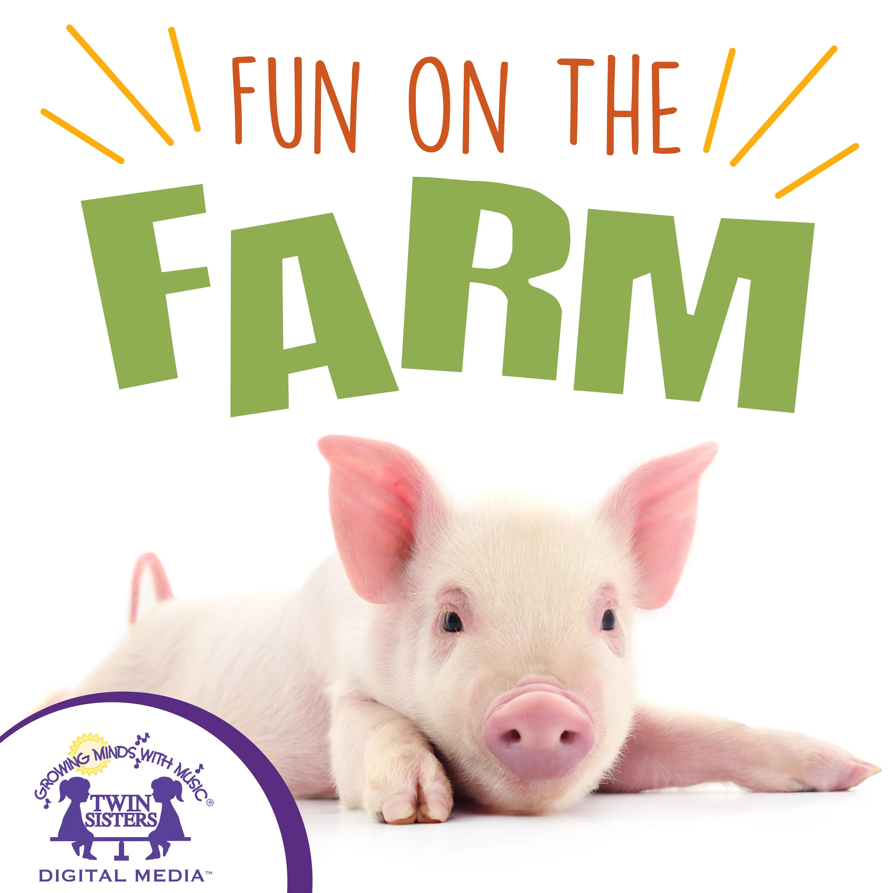 Fun On The Farm Audio Book by Teach Simple