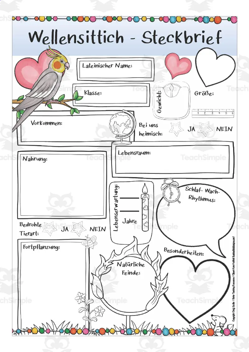 German: Animal Characteristics Worksheet - Budgie Printable by Teach Simple