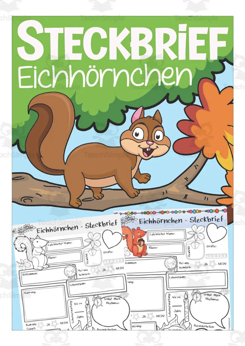 German: Animal Characteristics Worksheet - Squirrel Printable by Teach ...