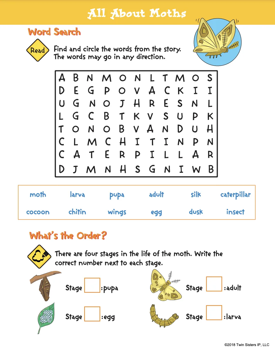 Grade 3: Reading Comprehension Volume 3 Printable Workbook by Teach Simple