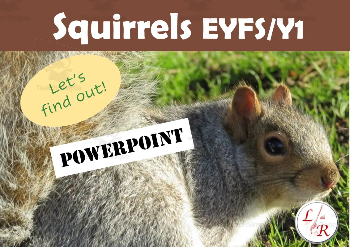 Grey Squirrel PowerPoint EYFS/Y1 (UK) by Teach Simple