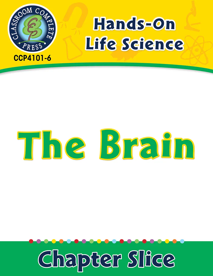 Hands-On - Life Science: The Brain Gr. 1-5 by Teach Simple