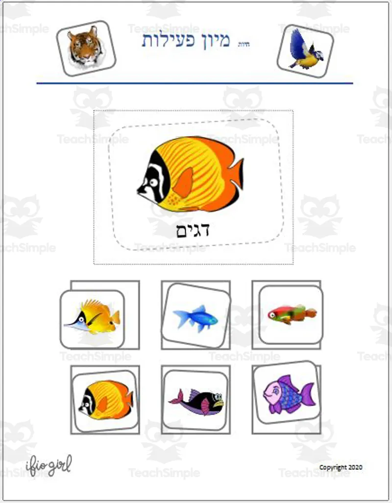 Hebrew: Sorting Activity non identical animals by Teach Simple