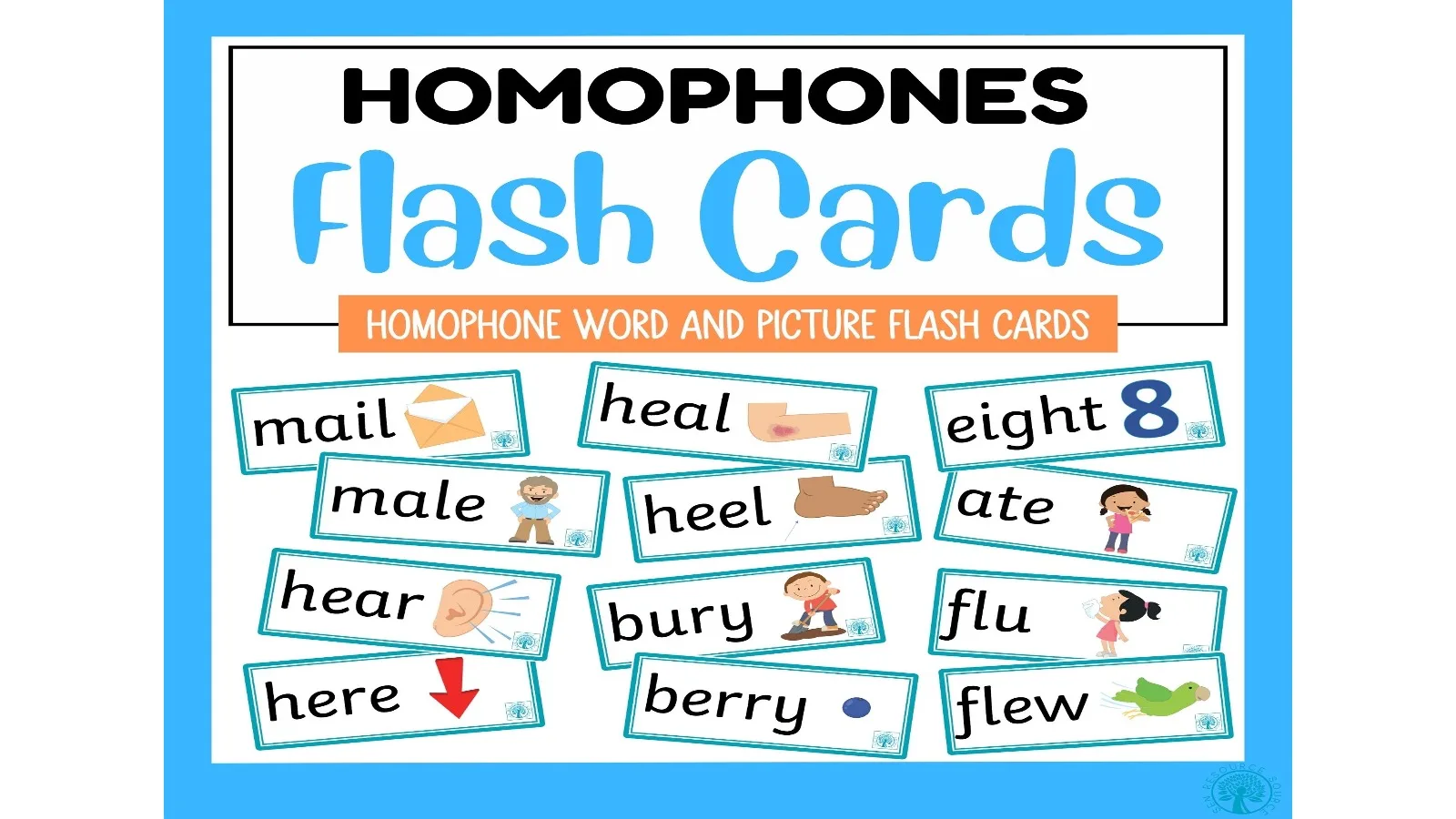 Homophone Flash Cards by Teach Simple