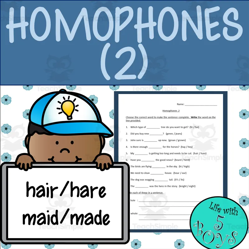 Homophones Worksheet and Activity Set 2 by Teach Simple
