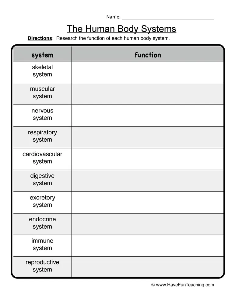 Human Body Systems Worksheet By Teach Simple human-body-systems-worksheet-by-teach-simple