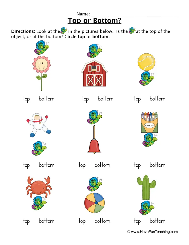 Identifying Top or Bottom Worksheet by Teach Simple
