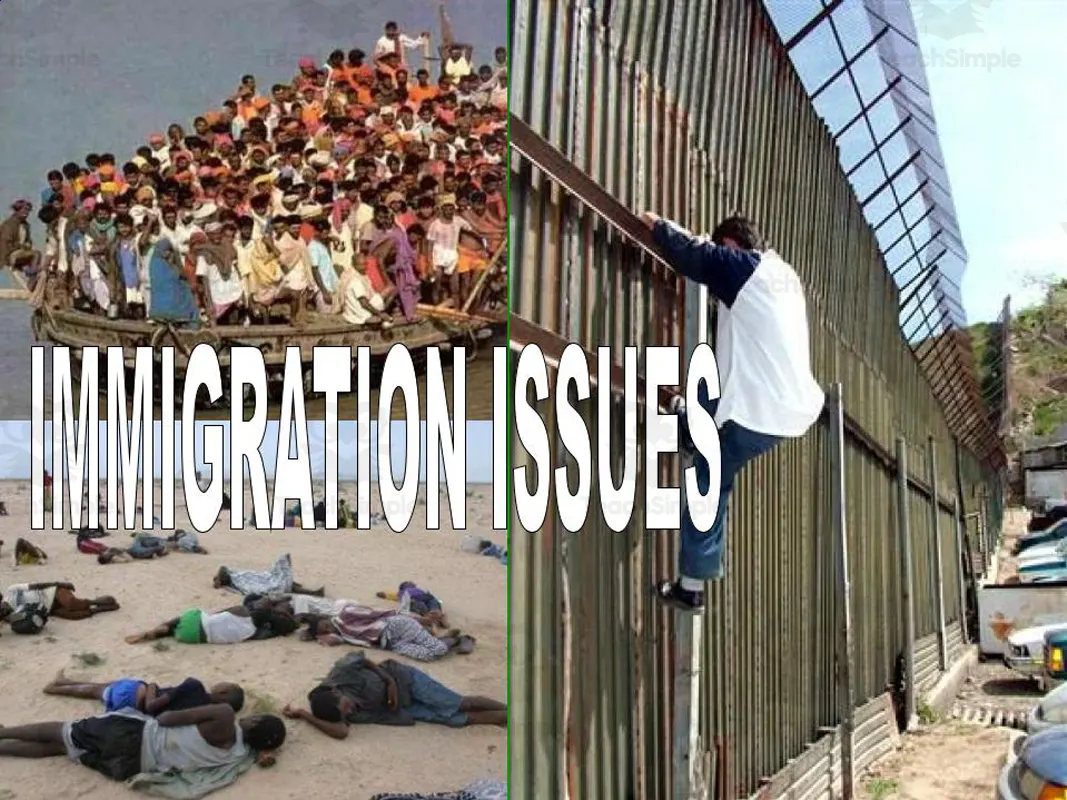 Immigration Issues Notes and Outline by Teach Simple