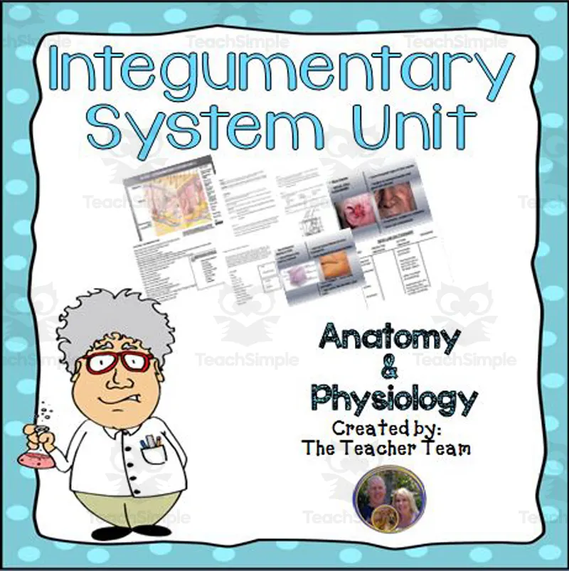 Integumentary System Unit by Teach Simple