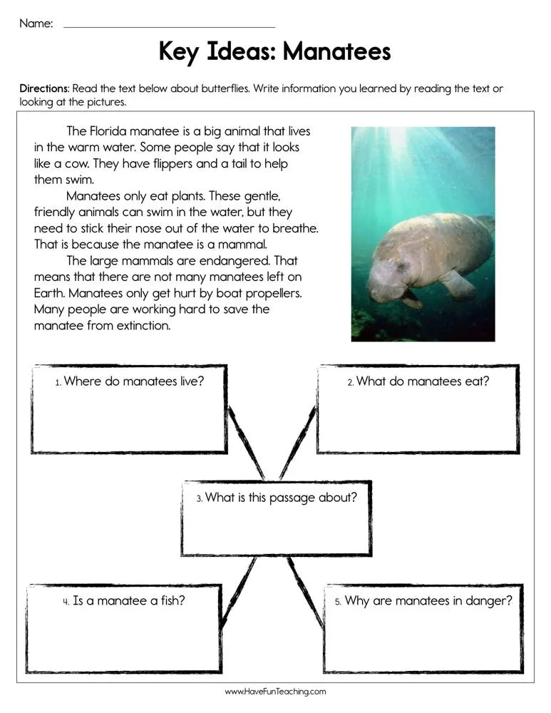 Key Ideas Manatees Worksheet by Teach Simple