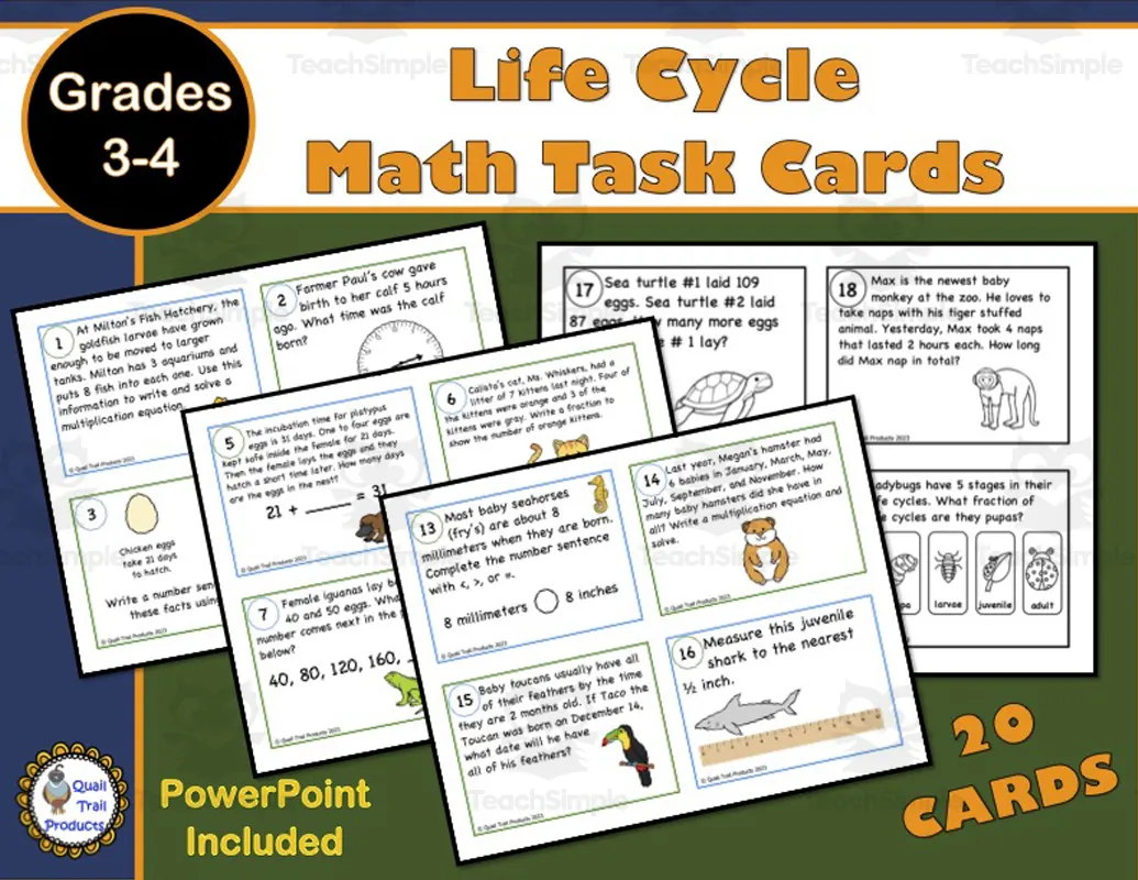 Life Cycle Math Task Cards by Teach Simple