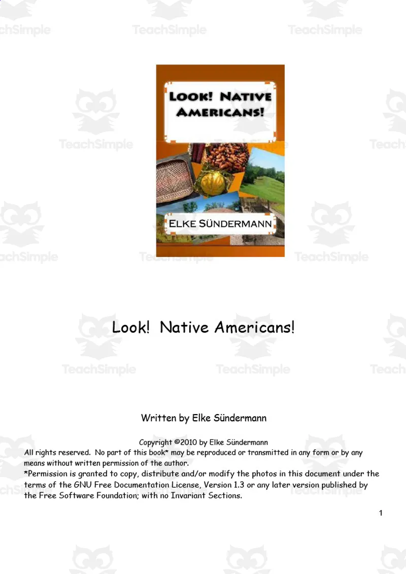 Look! Native Americans! | History eBook by Teach Simple