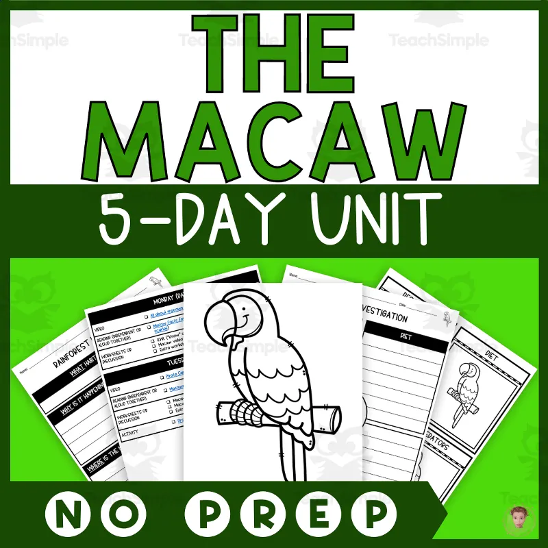 Macaw Unit Study (Rainforest Animals Lesson Plan, Videos, Activities ...