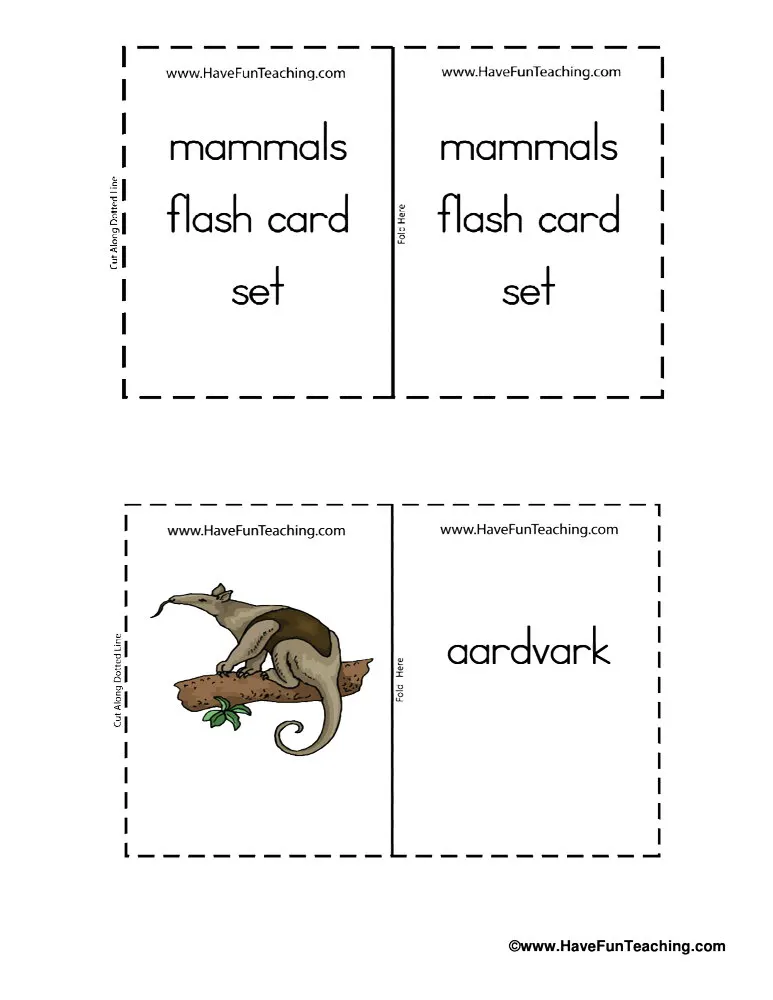 Mammals Cartoon Flash Cards by Teach Simple