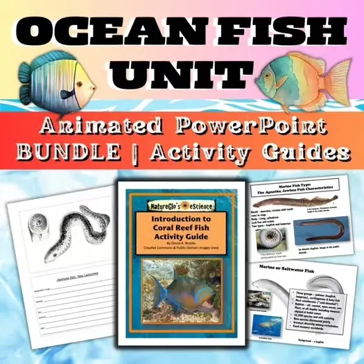 Marine Biology - Marine Fish of the World PowerPoint BUNDLE by Teach Simple