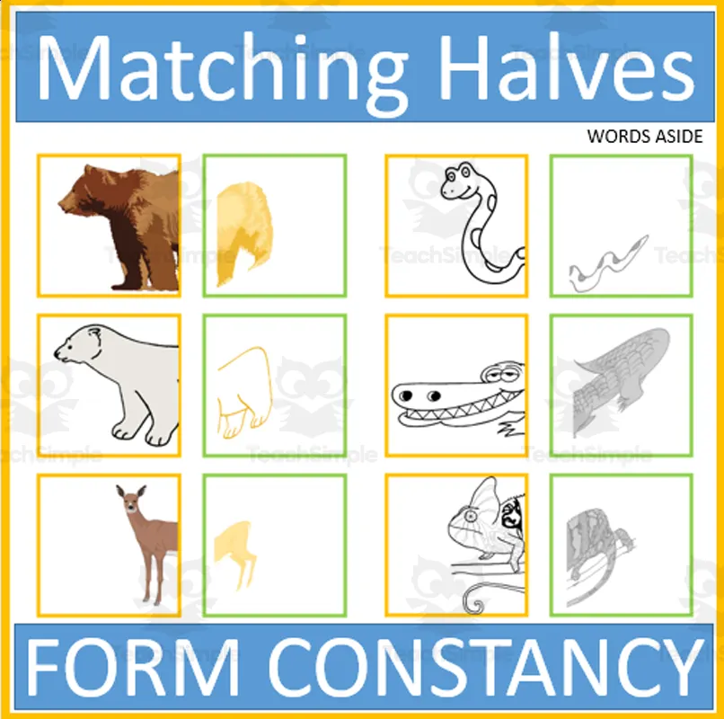 Matching Animals Halves Visual Form Constancy by Teach Simple