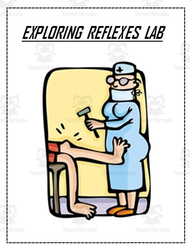 Nervous System ~ Exploring Reflexes Lab by Teach Simple