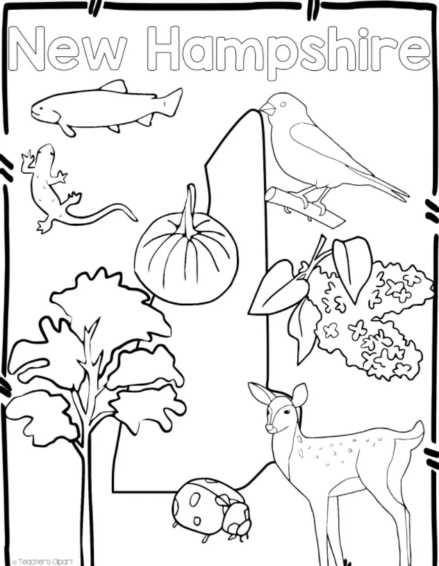 New Hampshire State Symbols Clip Art by Teach Simple