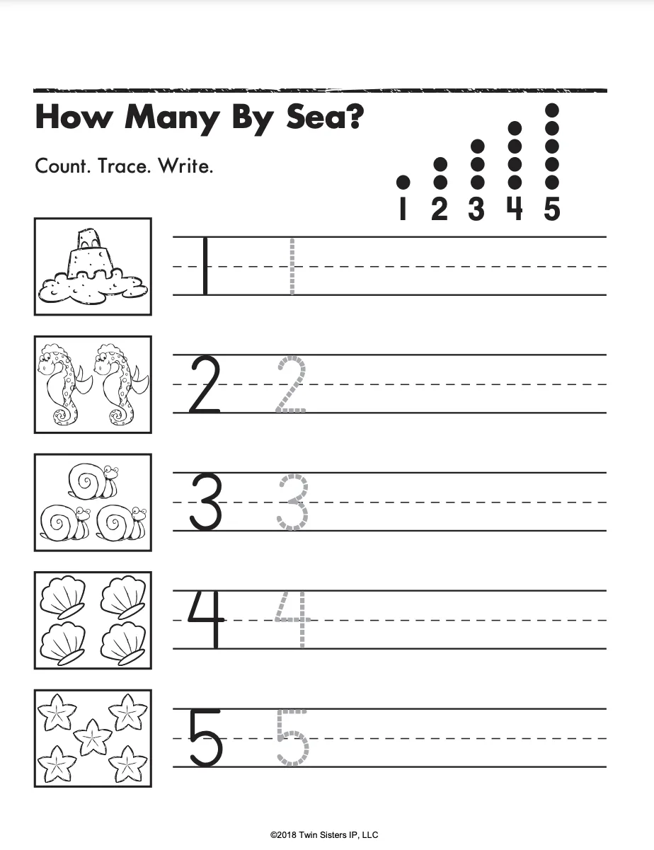 Numbers and Sets 1-20 Printable Workbook by Teach Simple