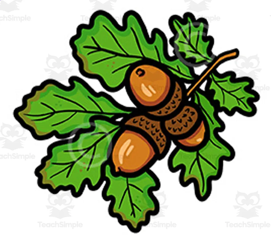 Oak branch with acorns clipart-Autumn graphics illustration clip art by Teach Simple
