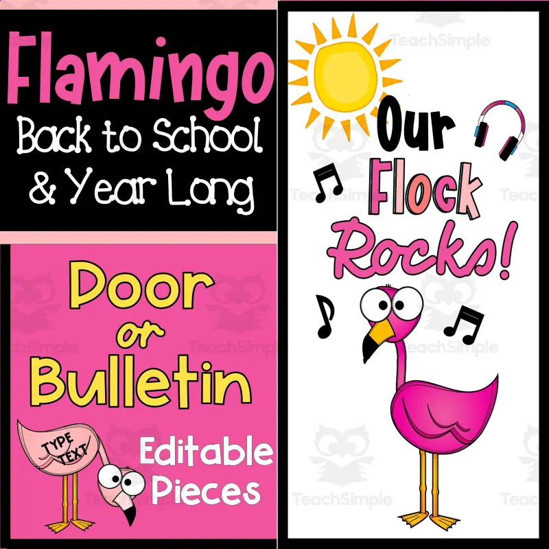 Our Flock Rocks Back to School Bulletin Board by Teach Simple