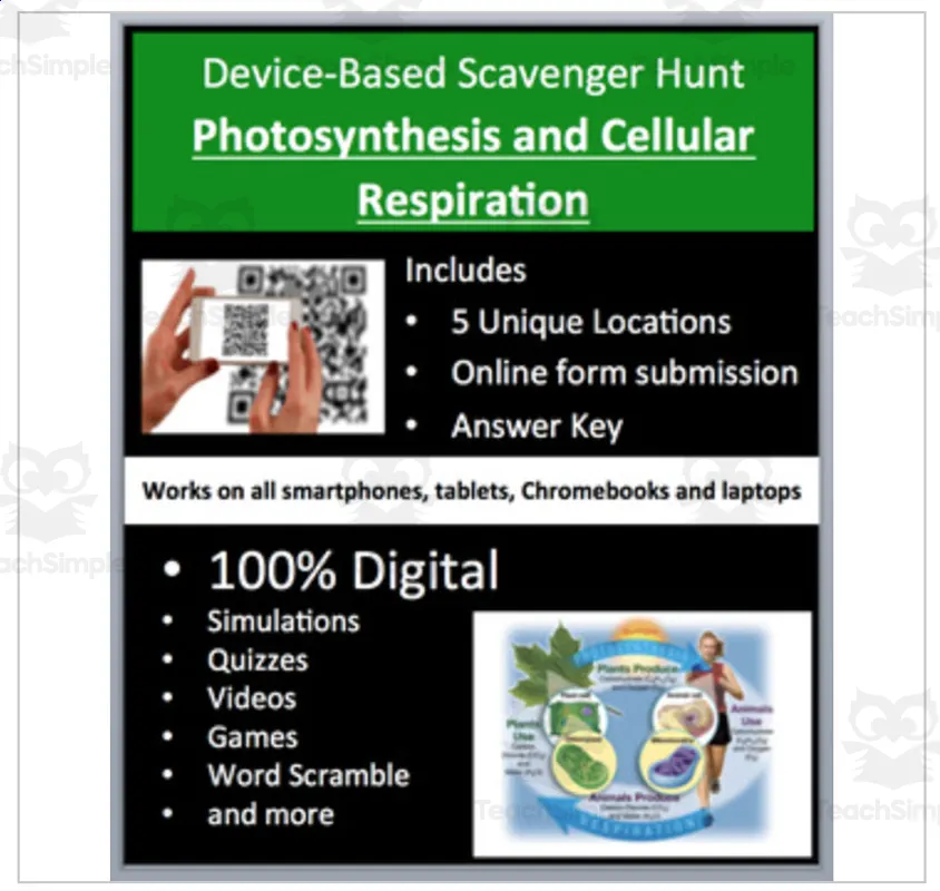 Photosynthesis and Cellular Respiration - Digital Scavenger Hunt ...