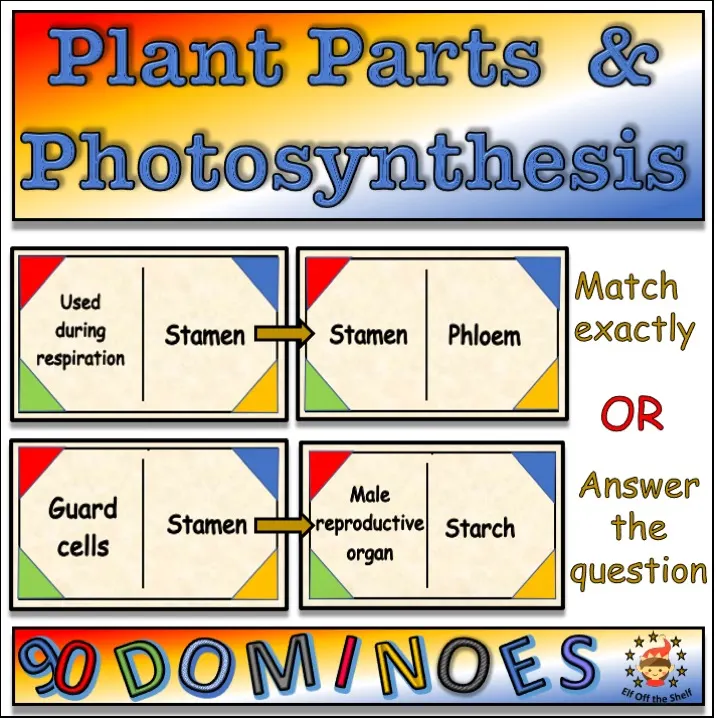 Plant Anatomy and Photosynthesis Dominoes Game - Middle School Science ...