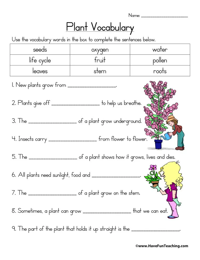 Plant Vocabulary Worksheet by Teach Simple