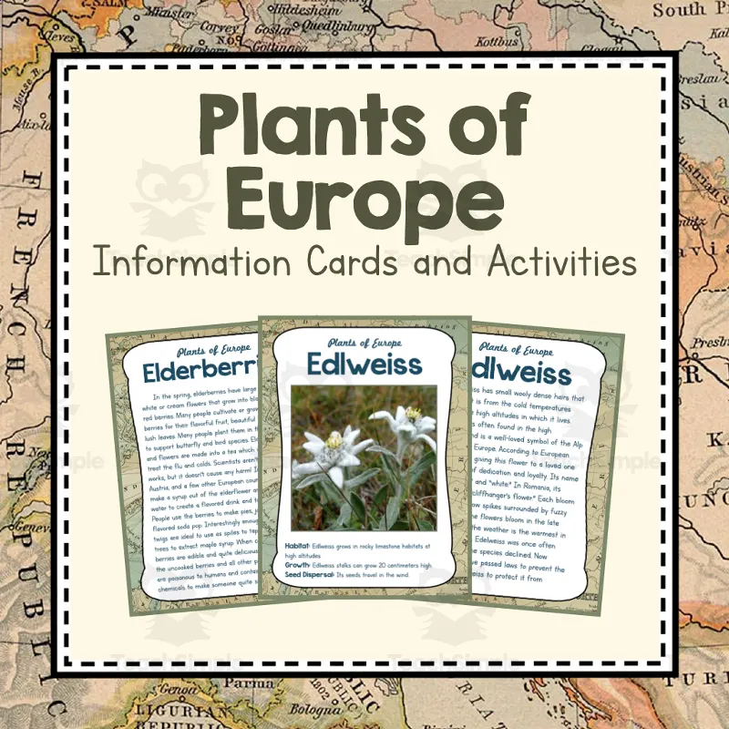 Plants of Europe | Europe Unit Study | Geography Bundle by Teach Simple
