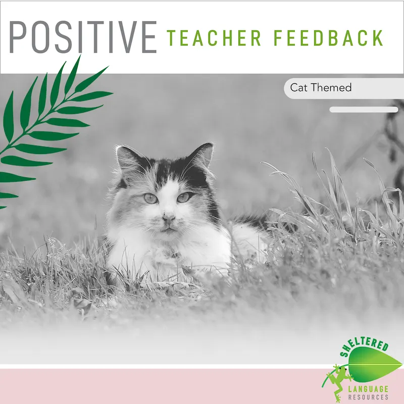 Positive Teacher Feedback and Observation Forms Cat Themed by Teach Simple